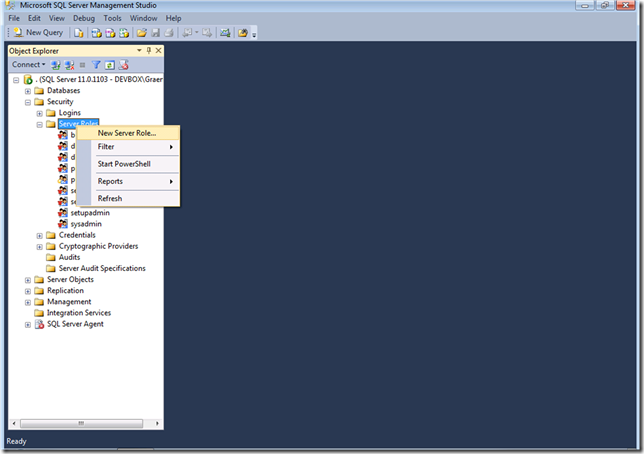 Content Master Technology Blog: Creating a User-Defined Server Role in ...